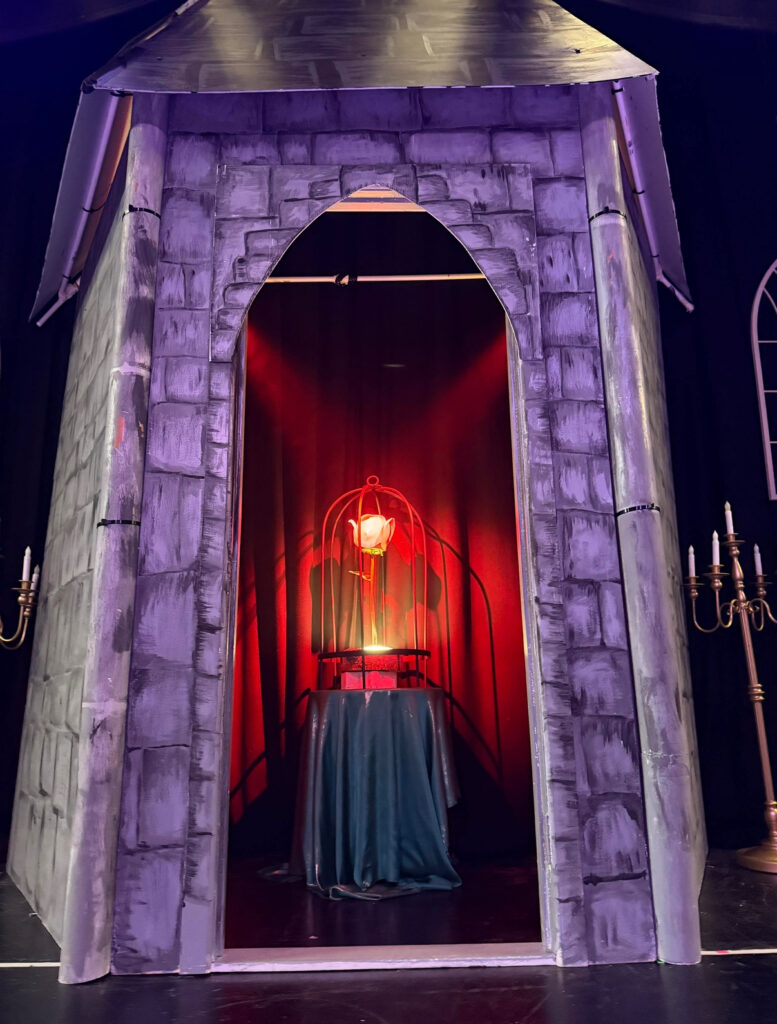 enchanted rose hire